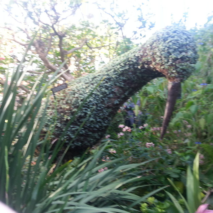 The 5 Tones Deafen | Ill professor