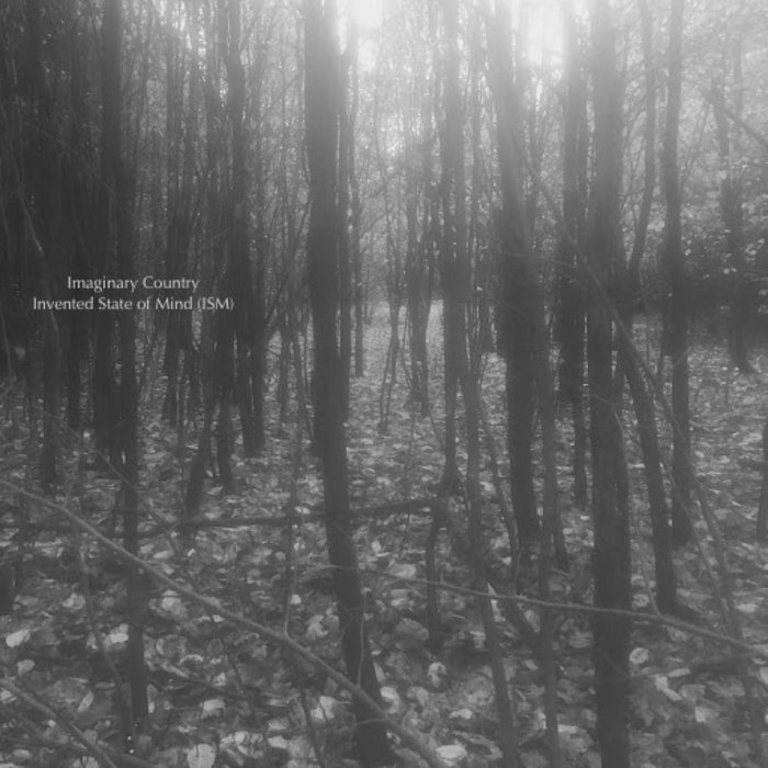 Imaginary Country | Invented State of Mind (ISM) | Shimmering Moods Records