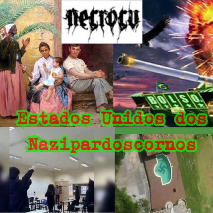 Estados Unidos dos Nazipardos | paliarq