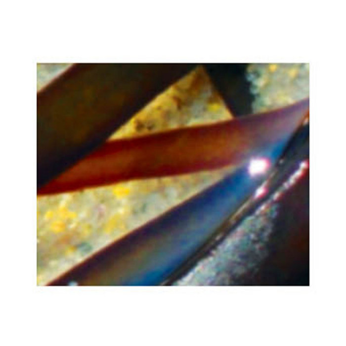 The Germination Of Rust | Enargeia