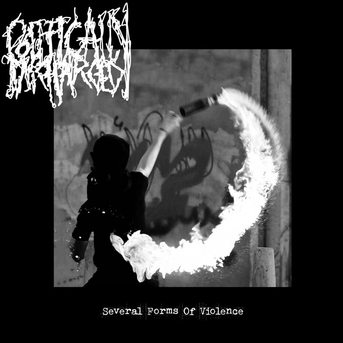 Several Forms of Violence | Politically Discharged | Gutted Records
