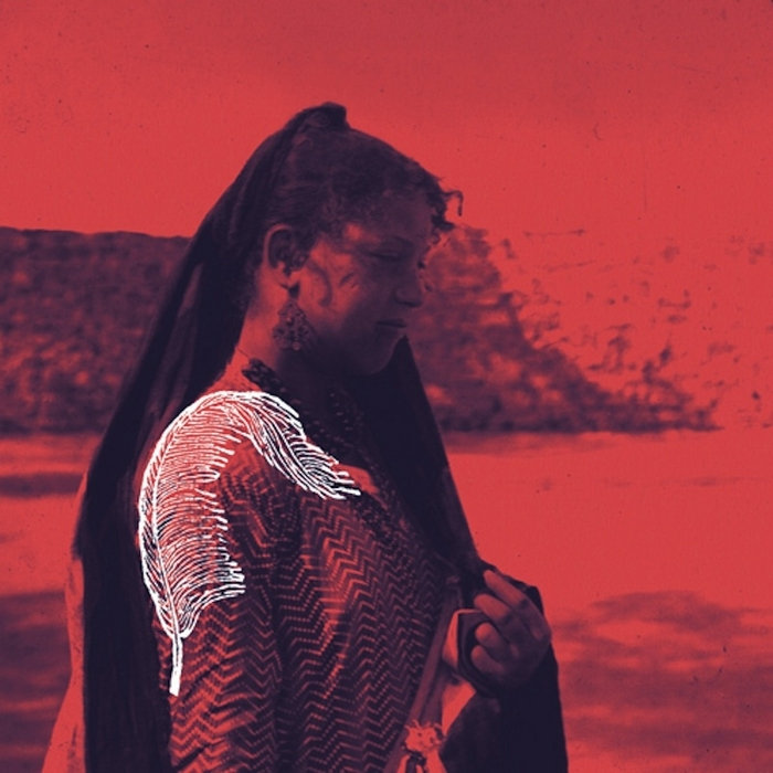 Rattling Cage 7" | Forest Swords