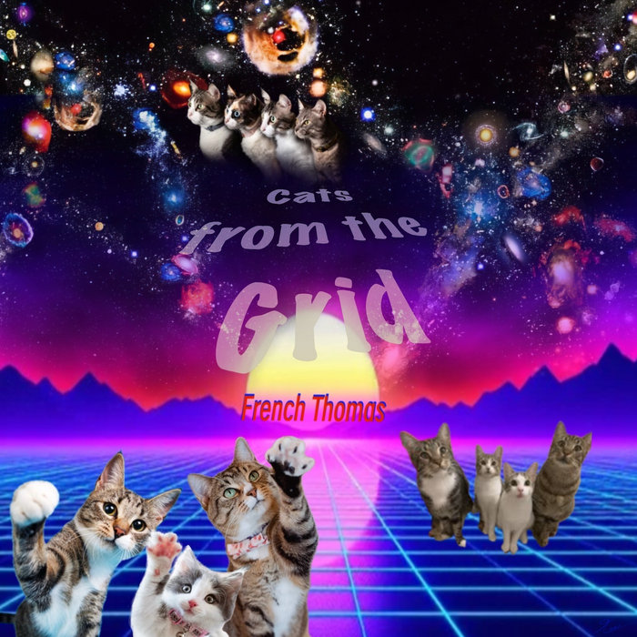 Cats from the Grid | French Thomas | french thom