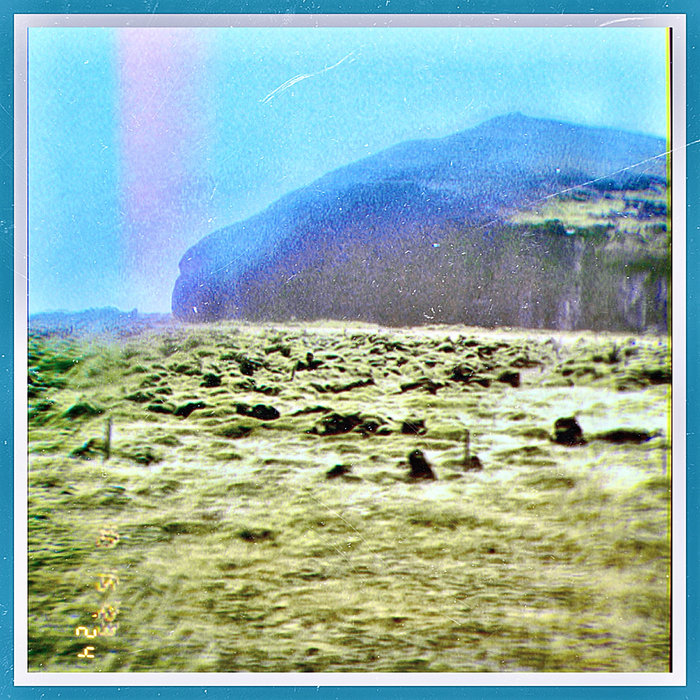 Woodlandsgaze | Christopher Mathis