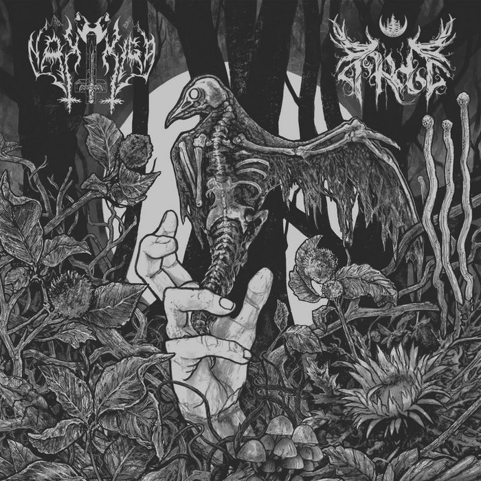 SPLIT | NAKKIGA / ARDE | breathsunboneblood