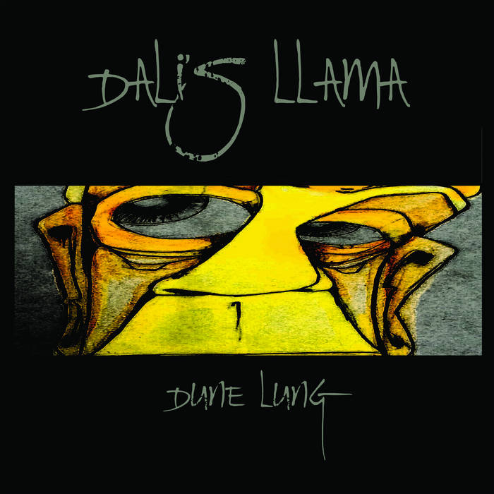 Merricat Blackwood | Dali's Llama