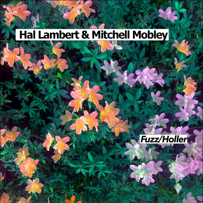 Fuzz/Holler | Hal Lambert and Mitchell Mobley | Tentative Power