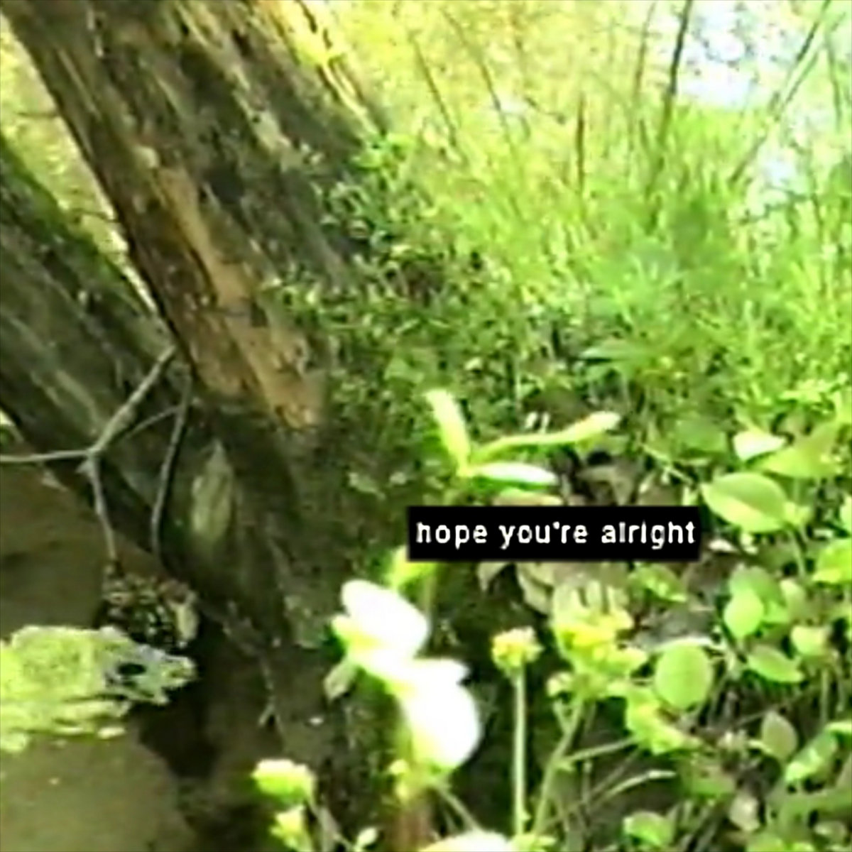 hope you're alright | muddy.bmp