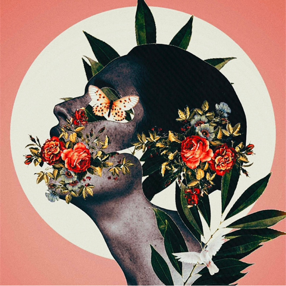 Locomotive | Dylan Graham