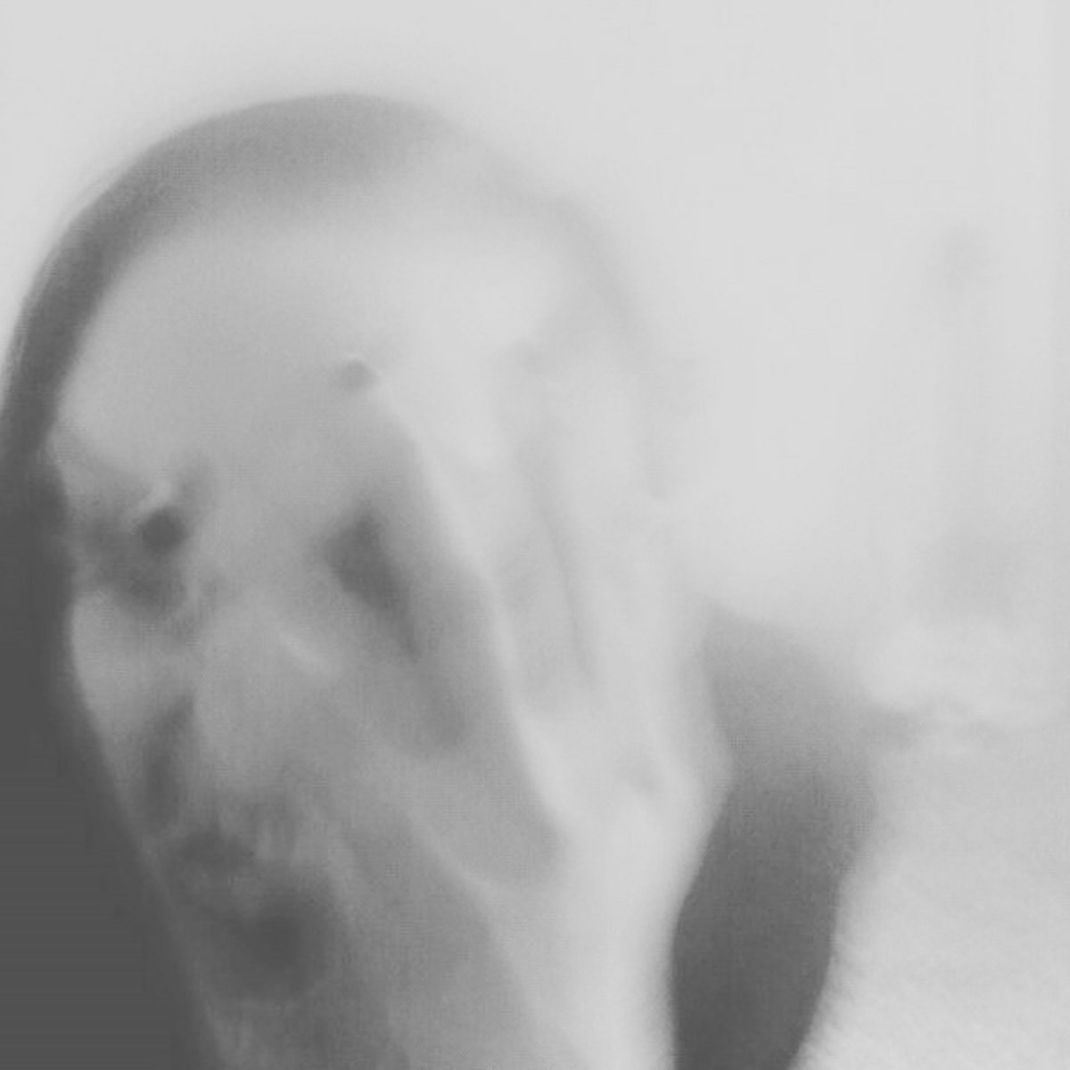 The Final Track On the Album | Old Man Creaky Bones