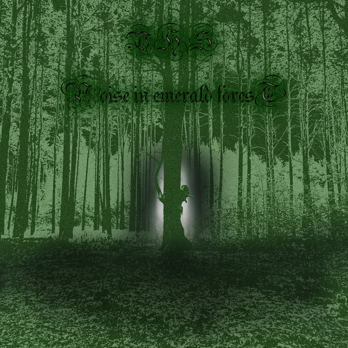VHS noise in emerald forest | White Feet on the Black Earth ...