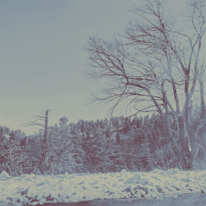 Cold Earth | The Dragon Rooster