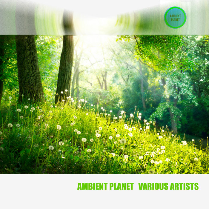 Ambient Planet Various Artists | Ambient Planet