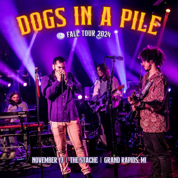 11/17/24 - The Stache - Grand Rapids, MI | Dogs In A Pile
