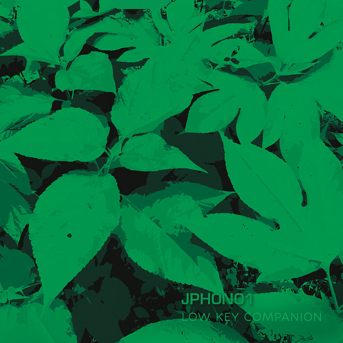 Low Key Companion | jphono1