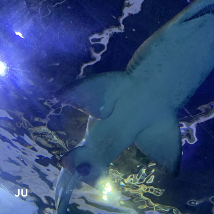 One Month | Jester's Unit | Intox Records