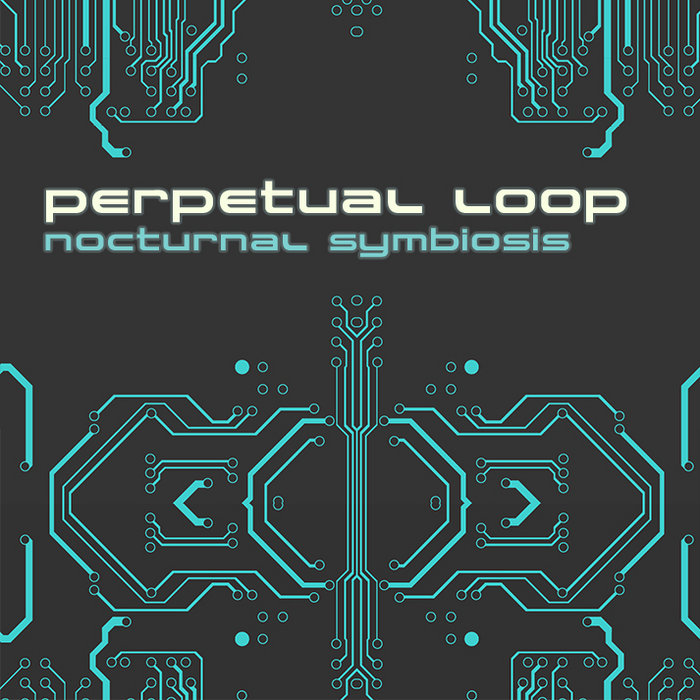 Nocturnal Symbiosis | Perpetual Loop