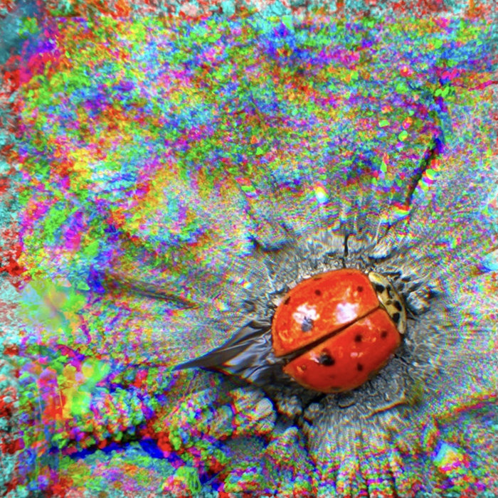 hey bug | slightshrug