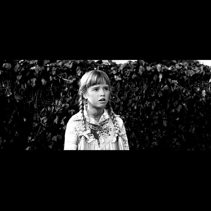 Assault on Precinct 13: A Reinterpretation | Cory Strand