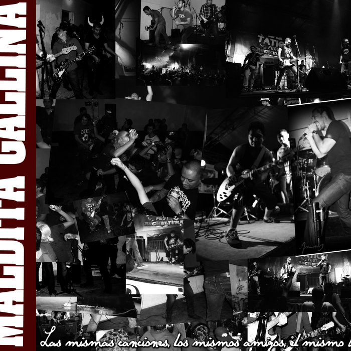 Las Mismas Canciones, Los Mismos Amigos, El Mismo Bar. | Maldita Gallina