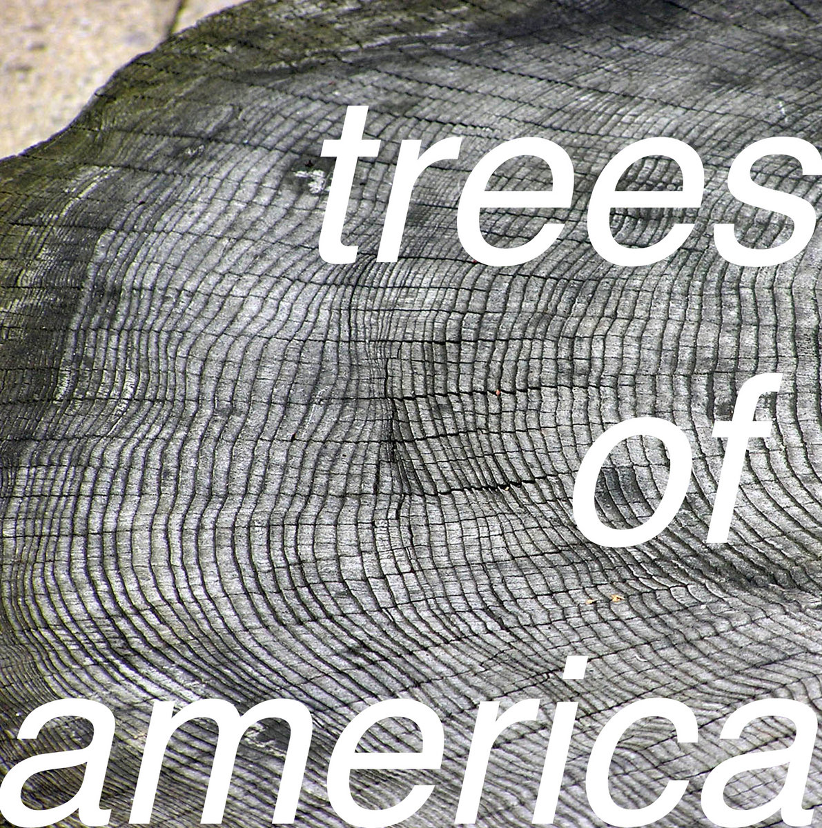 trees of america | trees of america