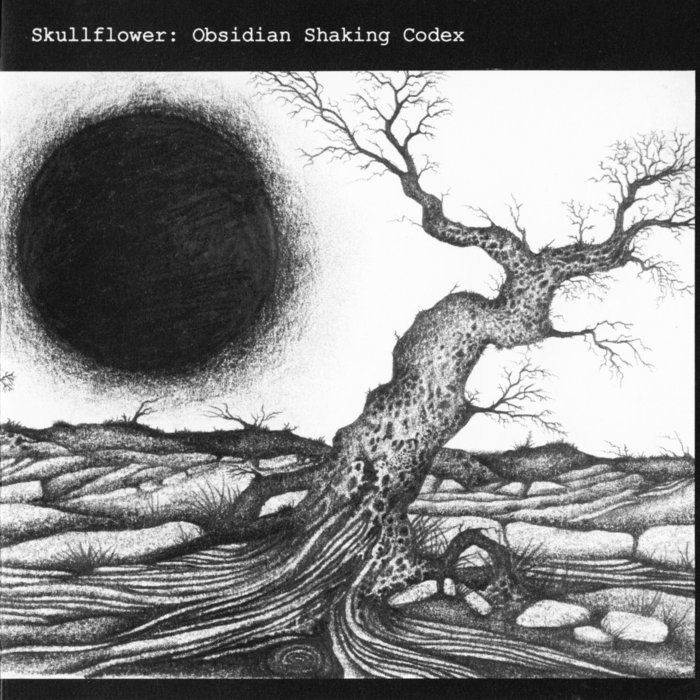 obsidian shaking codex | skullflower