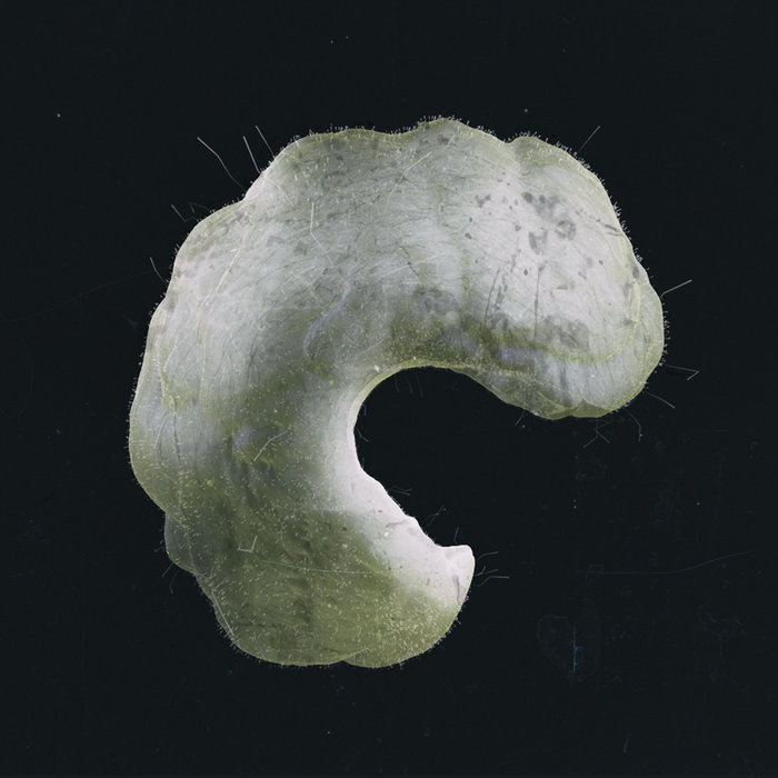 THE FREY EFFECT - Experimental Minority EP | KRYTIKA Productions