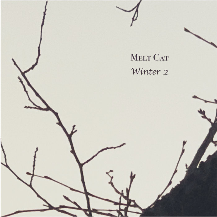 Winter 2 | Melt Cat