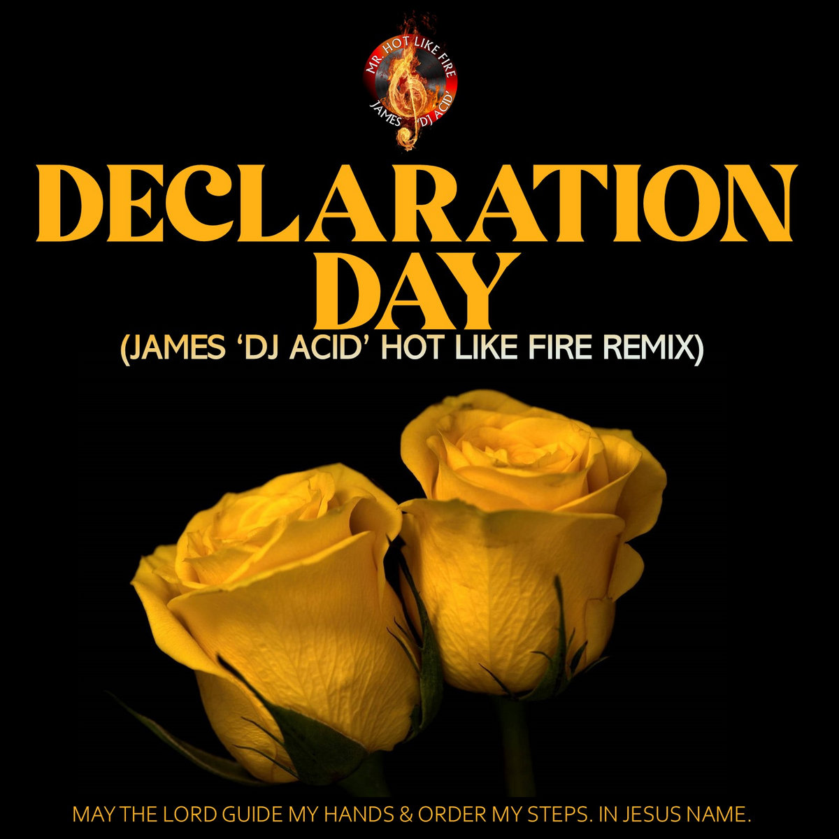 Declaration Day (James 'DJ Acid' Hot Like Fire Remix) | James 'DJ Acid'