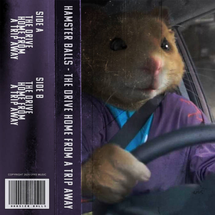 Hamster Ball Car