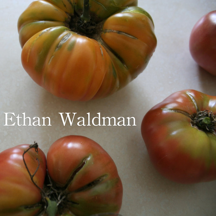Ethan Waldman | Ethan Waldman