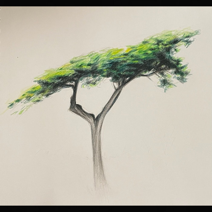 When The Wind Blew Through Your Branches | Bucketheadland