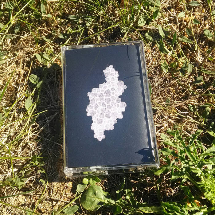 Stéphanie Vivier / Tristan Philippon Chopin [SPLIT K7] | Troglodisques