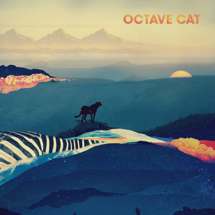 Octave Cat | Octave Cat
