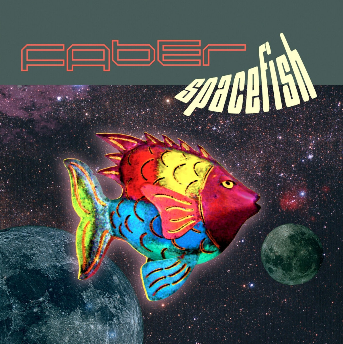 Spacefish | Faber