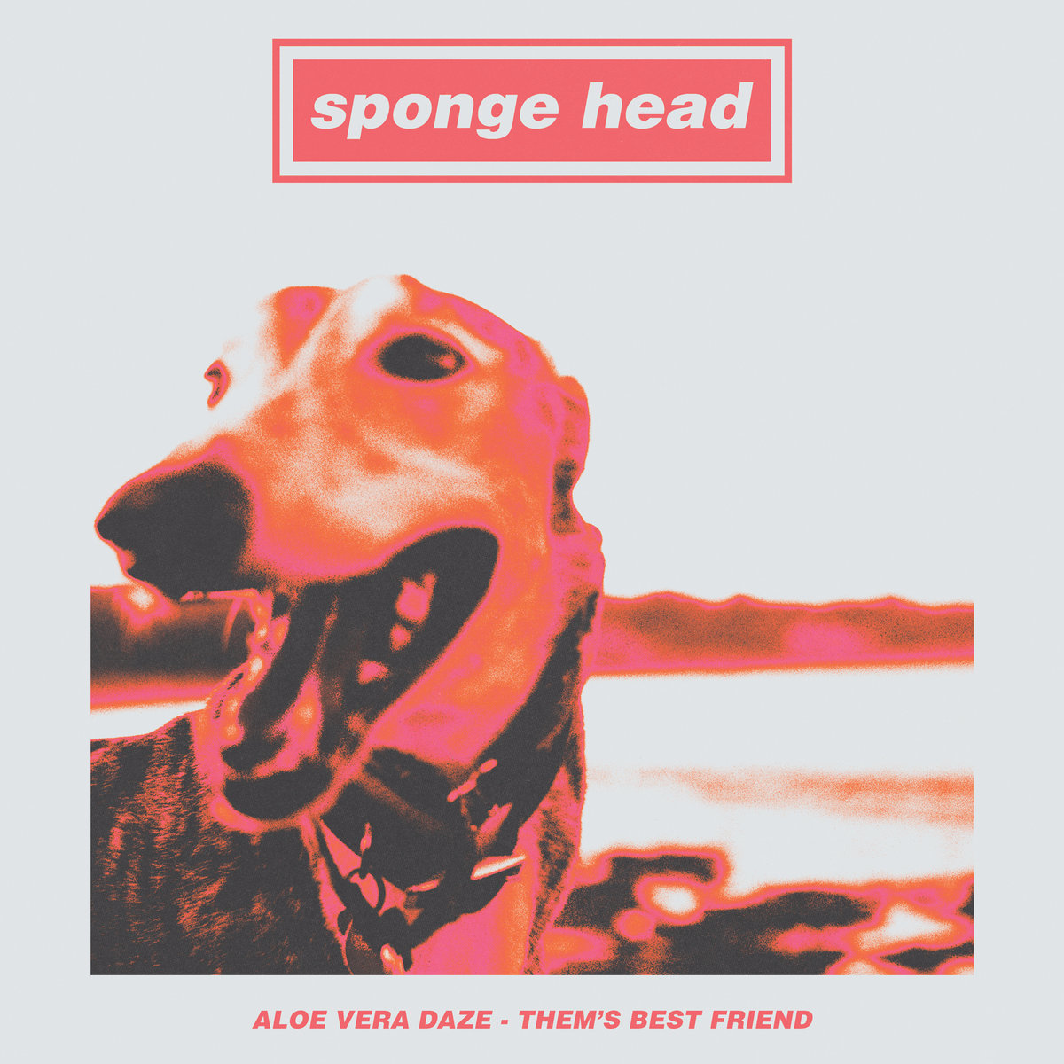 ALOE VERA DAZE / THEM'S BEST FRIEND | Sponge Head