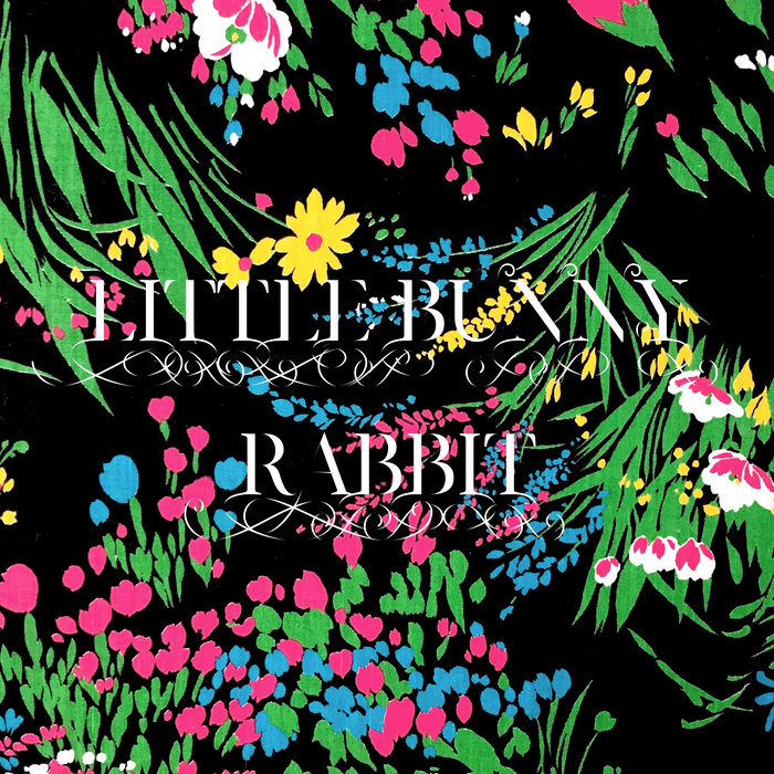 Little Bunny Rabbit (demo) | DIVEY