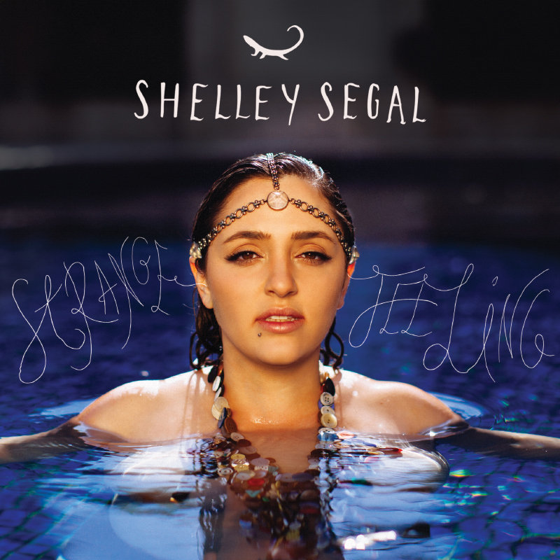Strange Feeling | Shelley Segal