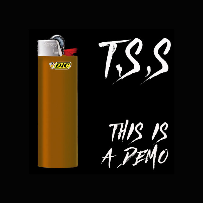 THIS IS A DEMO | TSS