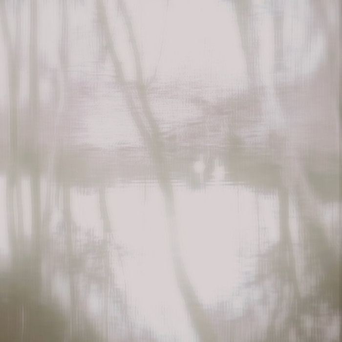 birds of light | Pop Miri Unofficial