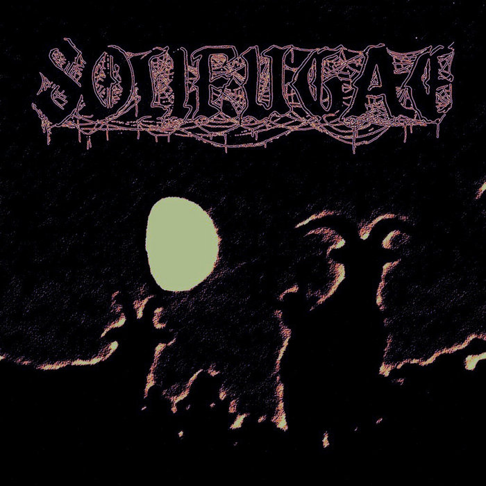 Solifugae | Solifugae