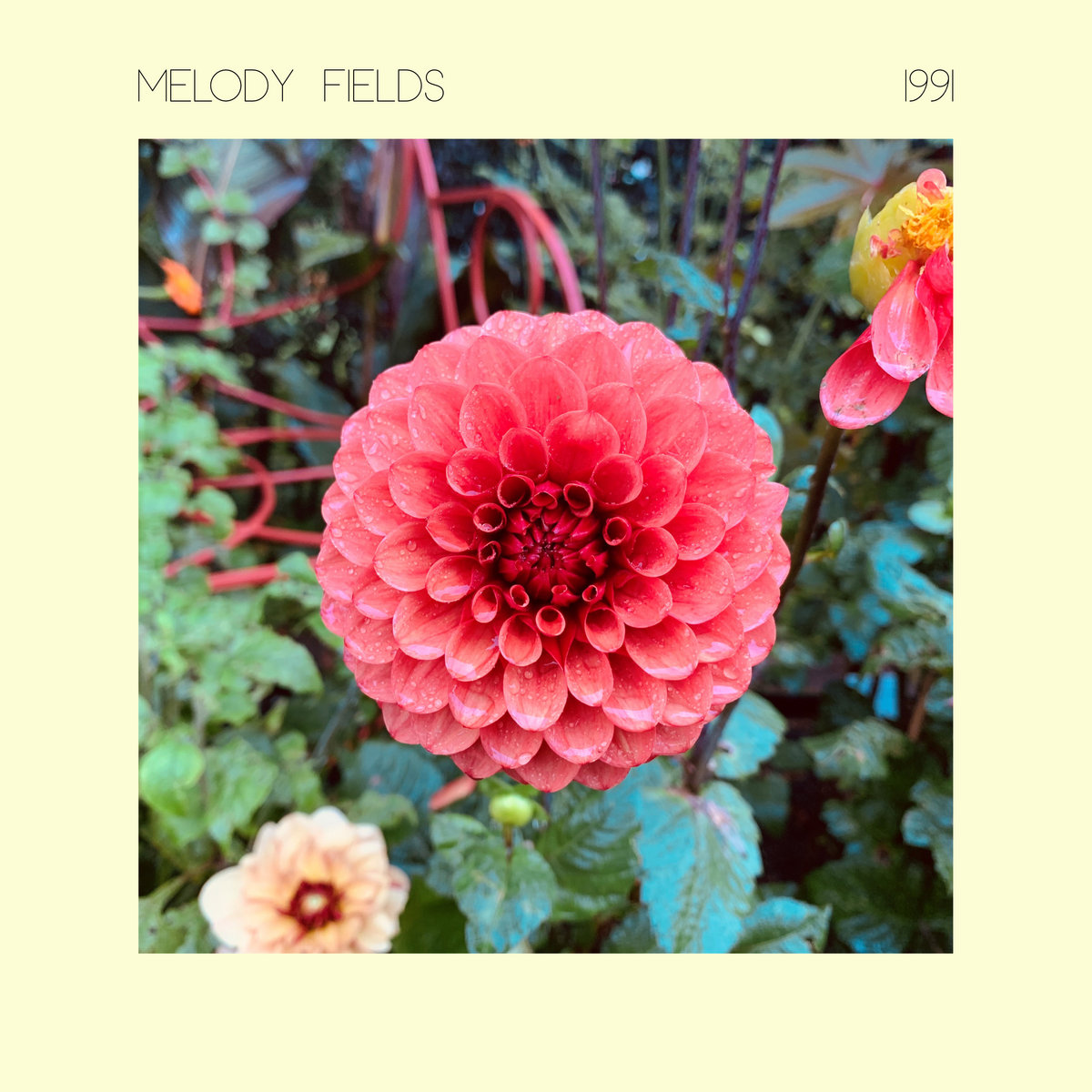 1991 | Melody Fields