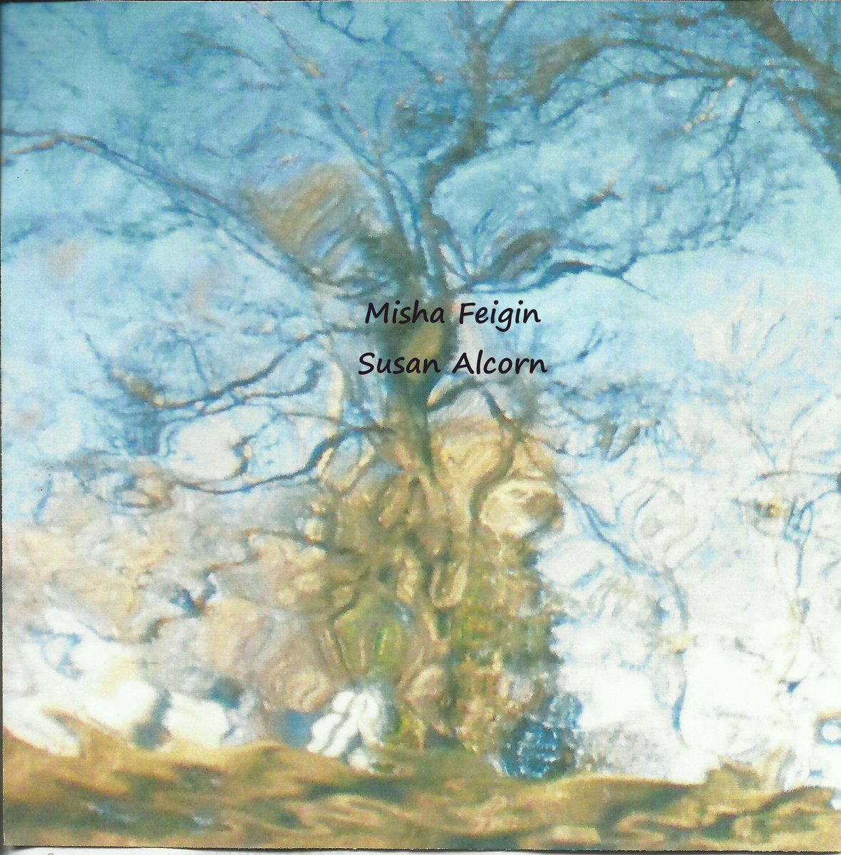 The Other Side of Reflection | Misha Feigin and Susan Alcorn | Misha Feigin