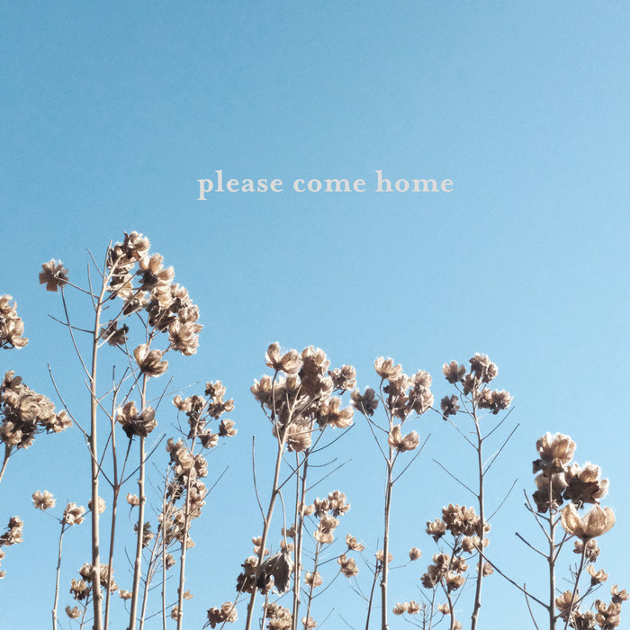 please come home | please come home
