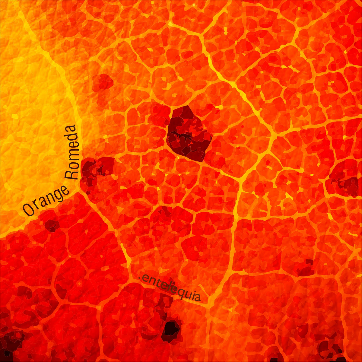 .entelequia | Orange Romeda