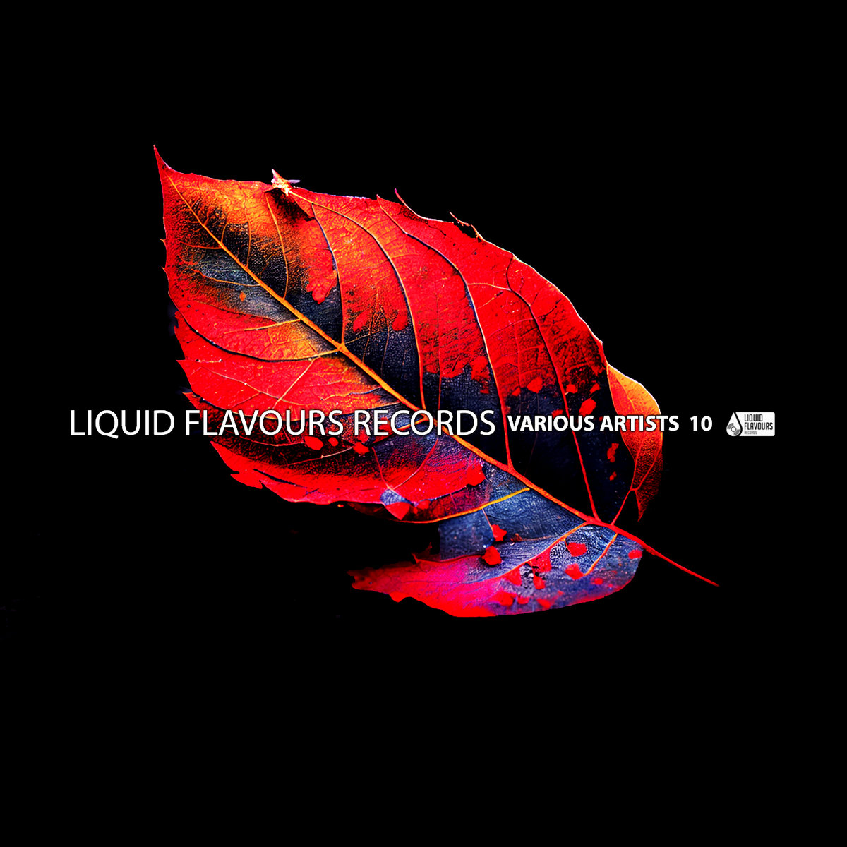 Liquid Flavours Records - Various Artist 10 | Various Artists | Liquid ...