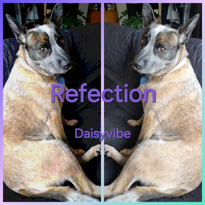 Reflection | Daisy vibe
