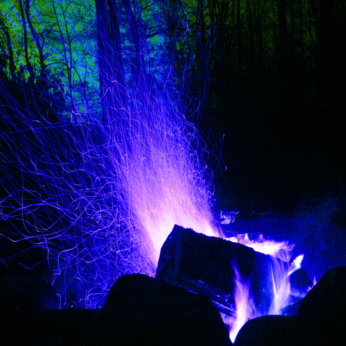 Pedall | Lost Chocolate Lab