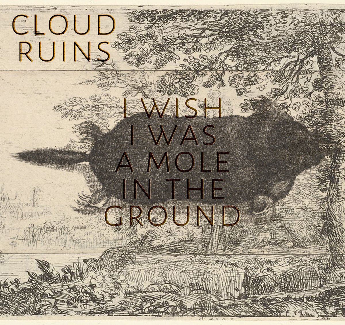 I Wish I Was A Mole In The Ground | Cloud Ruins