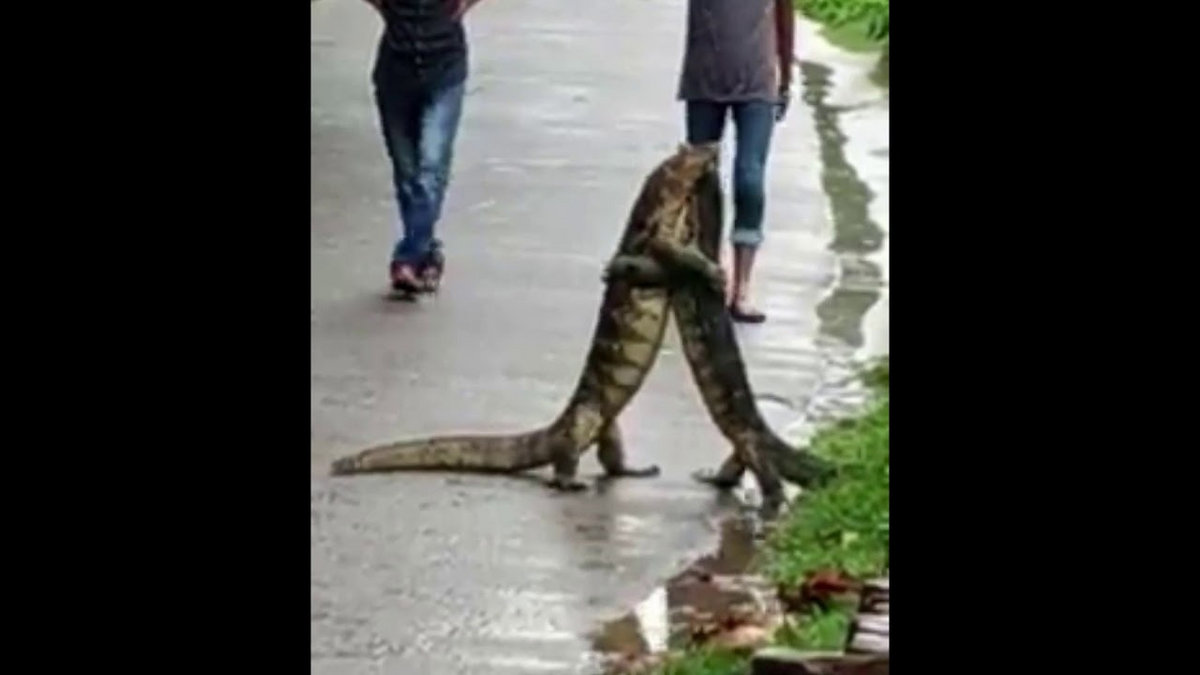 s̴̺̼̥̪͌̂͊́̎̓́͘ĥ̴̛̩͕̮̗̔̌͐̊͆̉̒͜͝a̴̺̦͈̎̓̐̋͘͝d̵̗̯͈͚͉̣̆͌̐́̀̀̅̌̕̚o̸͍ ...